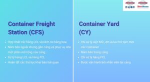 CFS là gì trong xuất nhập khẩu? Sự khác biệt giữa CFS và CY ...